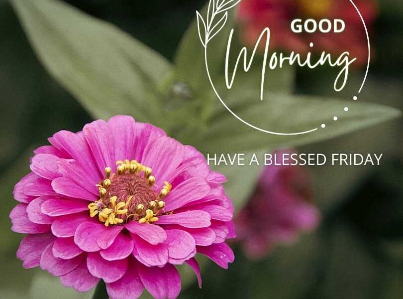 ᐅ100+ Good Morning Friday Images, Photos, Pictures