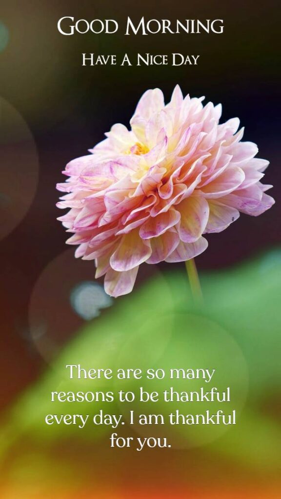 ᐅ50+ Nice Good Morning Images, Wishes & Photos