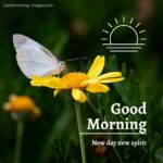 ᐅ100+ Good Morning 4k HD Images, Photos & Pictures