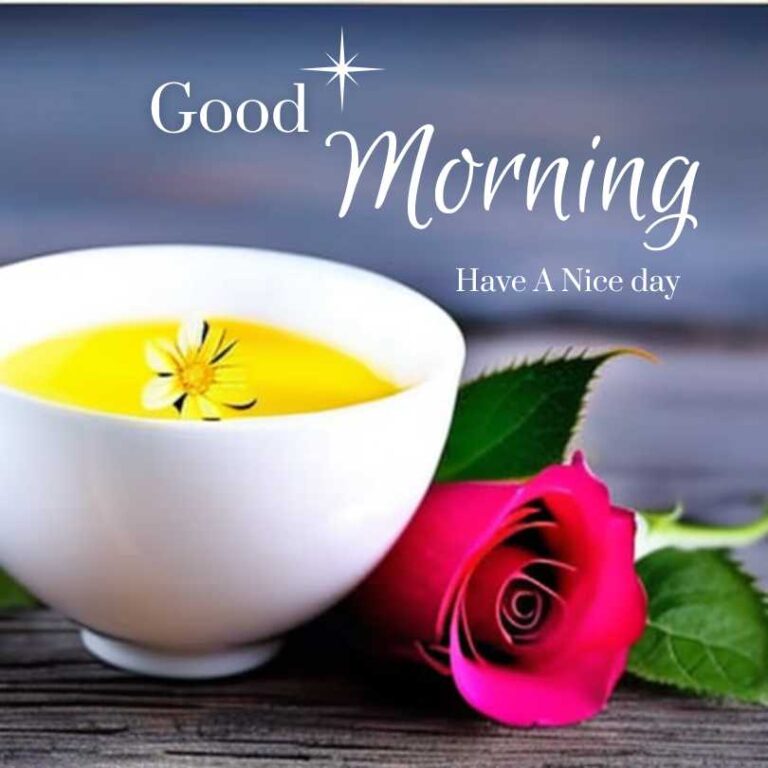 ᐅ100+ Good Morning 4k HD Images, Photos & Pictures