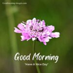 ᐅ100+ Good Morning 4k HD Images, Photos & Pictures