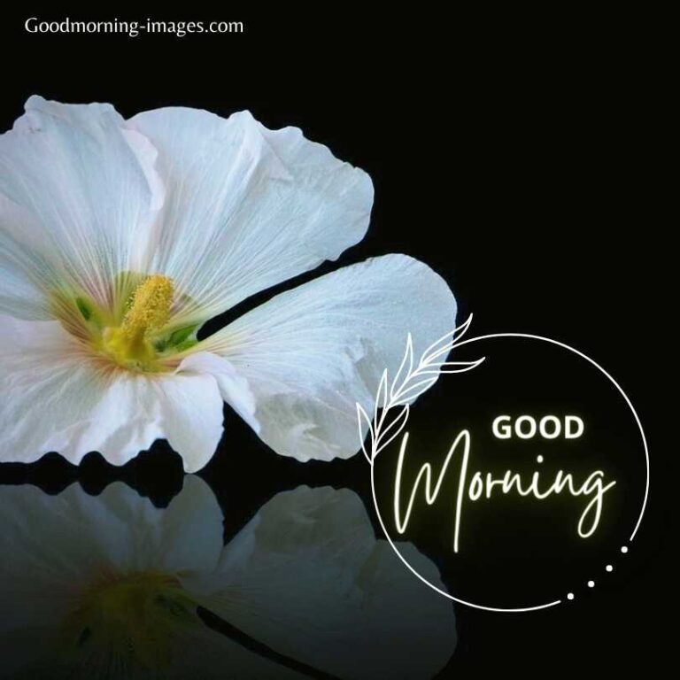 ᐅ100+ Good Morning 4k HD Images, Photos & Pictures