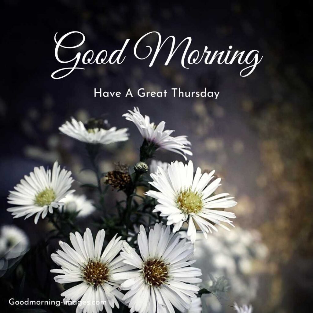 ᐅ100+ Good Morning Thursday Images, Photos, Pictures
