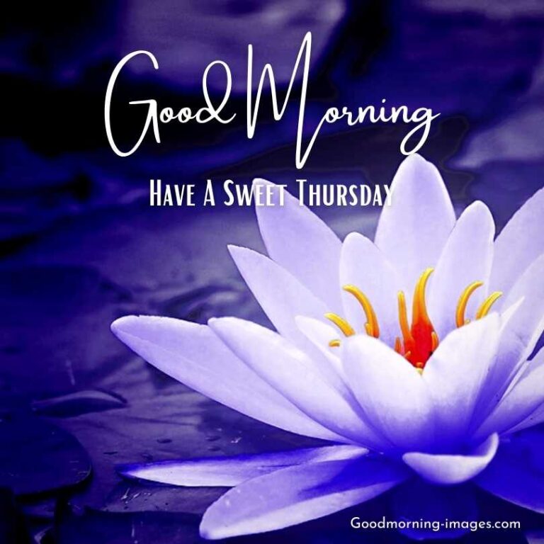 ᐅ100+ Good Morning Thursday Images, Photos, Pictures