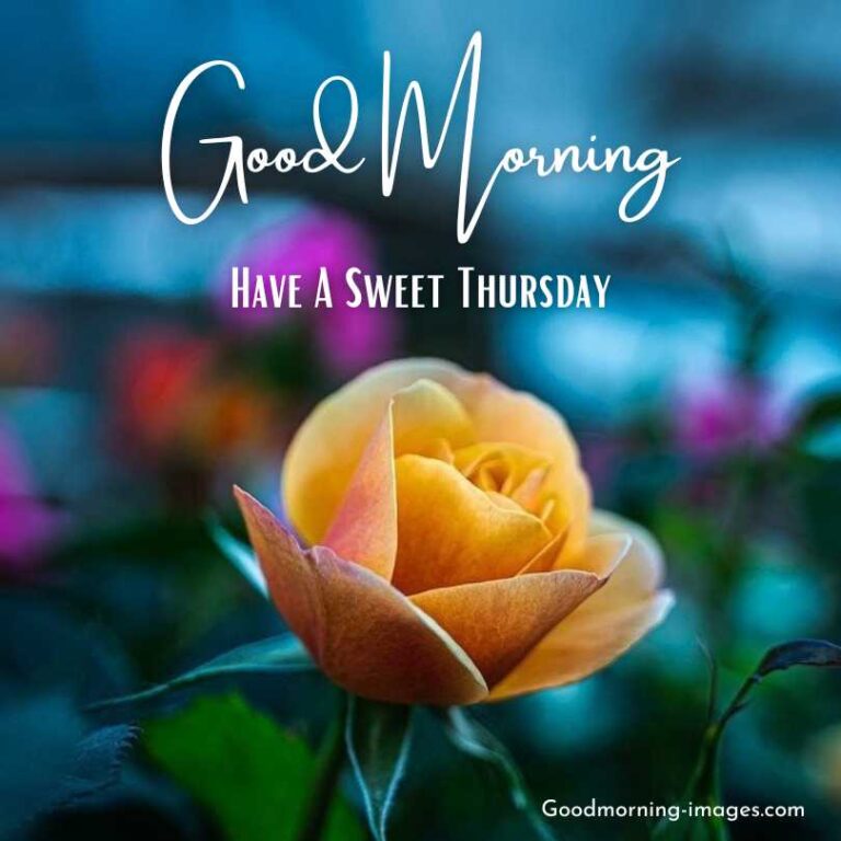 ᐅ100+ Good Morning Thursday Images, Photos, Pictures