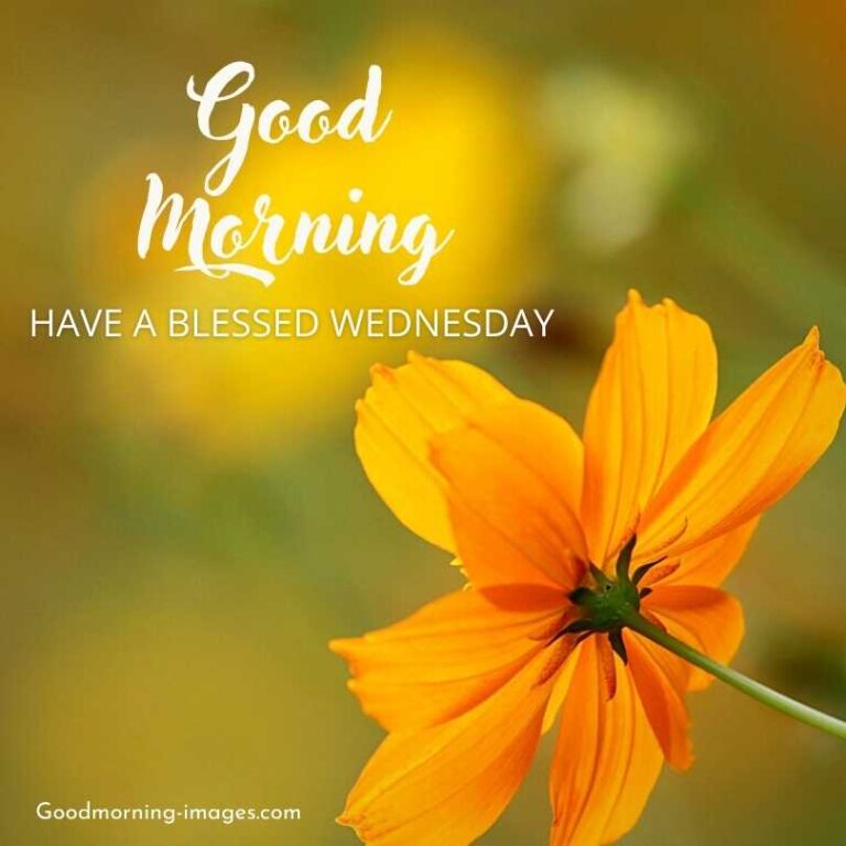 ᐅ100+ Good Morning Wednesday Images, Photos & Pictures