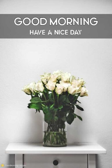 ᐅ99+ Good Morning Images Download In HD For Free