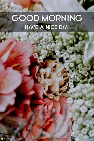 ᐅ99+ Good Morning Images Download In HD For Free