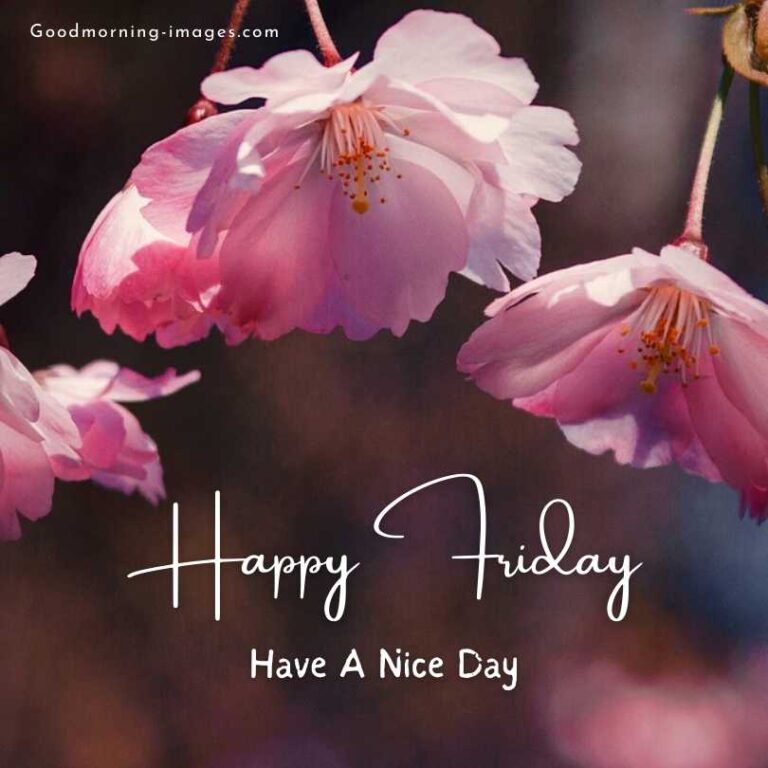 ᐅ100+ Happy Friday Images, Photos, Pictures, Blessings