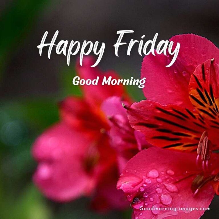 ᐅ100+ Happy Friday Images, Photos, Pictures, Blessings