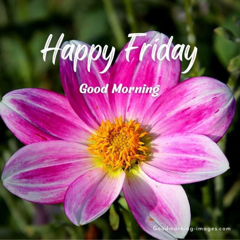 ᐅ100+ Happy Friday Images, Photos, Pictures, Blessings