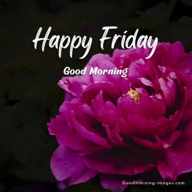 ᐅ100+ Happy Friday Images, Photos, Pictures, Blessings