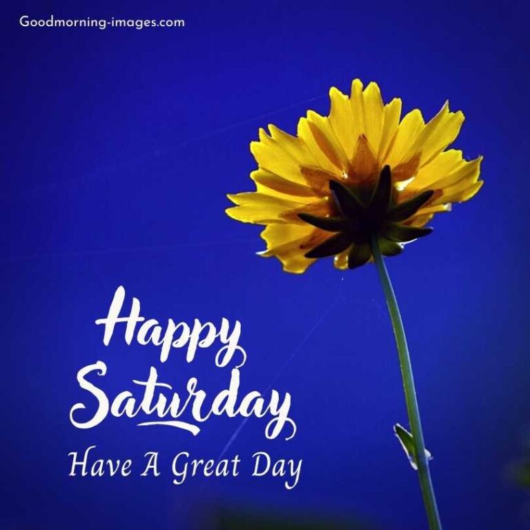 ᐅ100+ Happy Saturday Images, Photos, Pictures