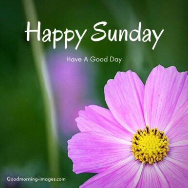ᐅ100+ Happy Sunday Images, Photos, Pictures, Blessings