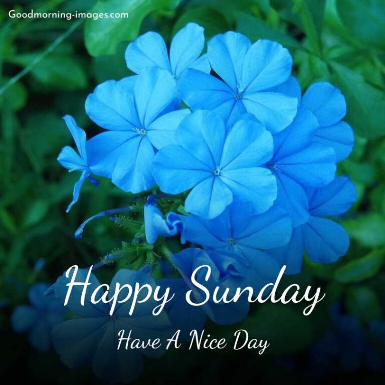 ᐅ100+ Happy Sunday Images, Photos, Pictures, Blessings