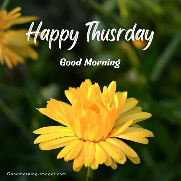 ᐅ100+ Happy Thursday Images, Photos & Blessings Pictures