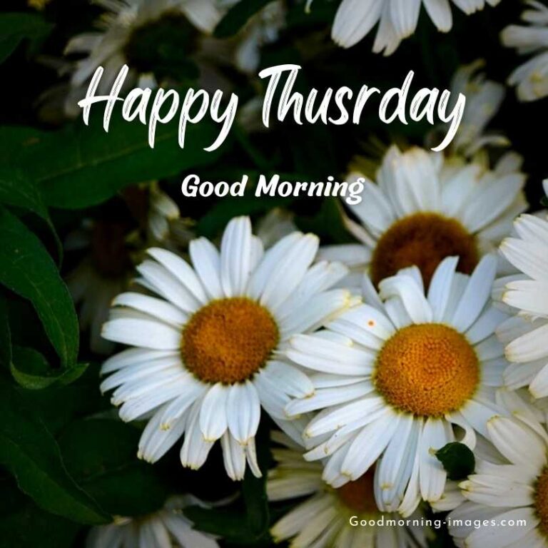 ᐅ100+ Happy Thursday Images, Photos & Blessings Pictures