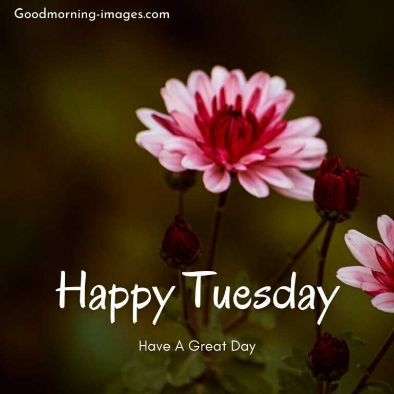 ᐅ100+ Happy Tuesday Images, Photos & Blessings Pictures