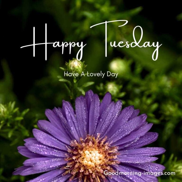 ᐅ100+ Happy Tuesday Images, Photos & Blessings Pictures