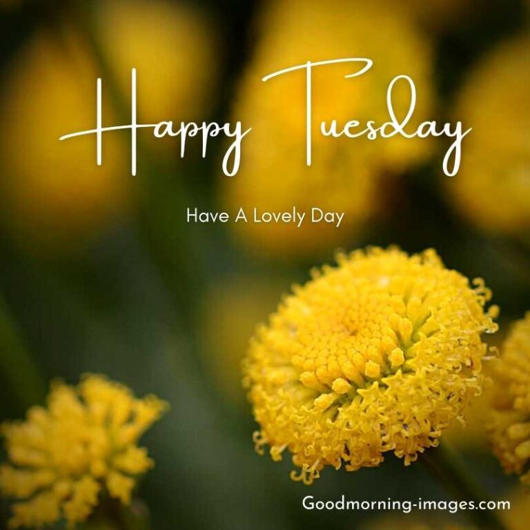 ᐅ100+ Happy Tuesday Images, Photos & Blessings Pictures