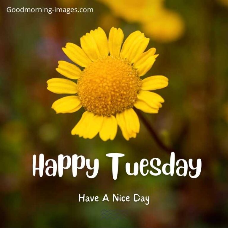 ᐅ100+ Happy Tuesday Images, Photos & Blessings Pictures