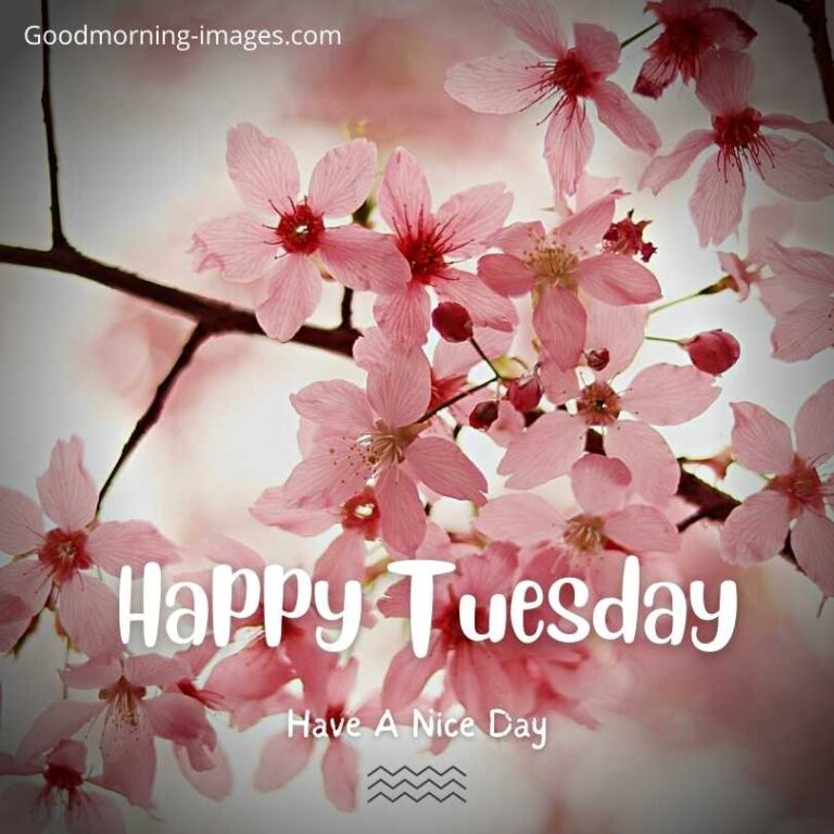 ᐅ100+ Happy Tuesday Images, Photos & Blessings Pictures