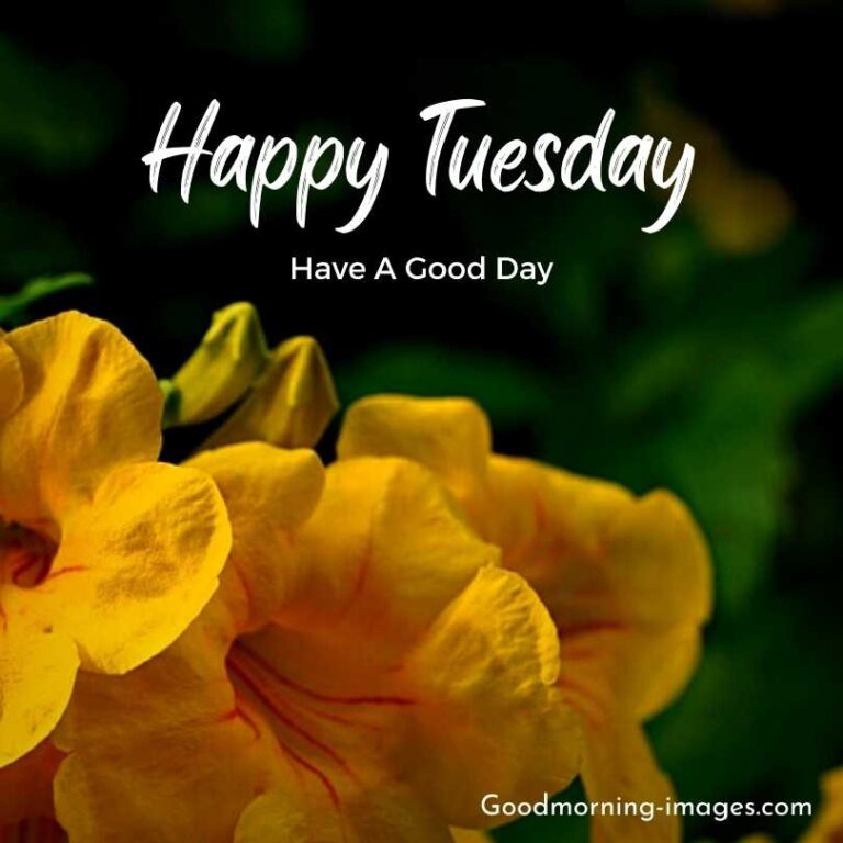 ᐅ100+ Happy Tuesday Images, Photos & Blessings Pictures