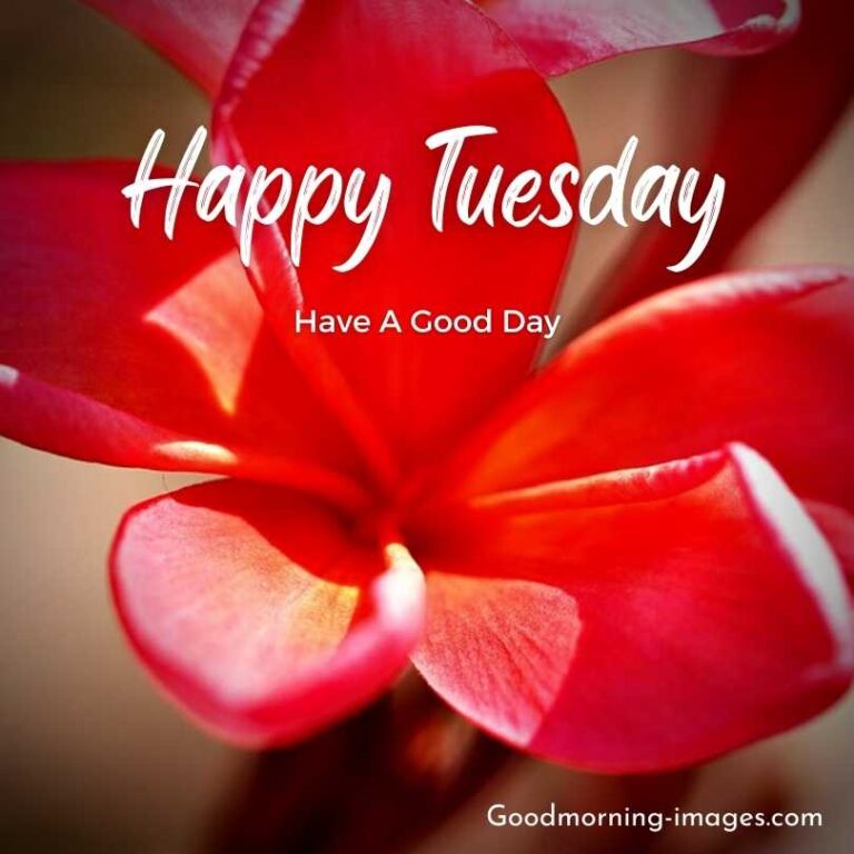 ᐅ100+ Happy Tuesday Images, Photos & Blessings Pictures