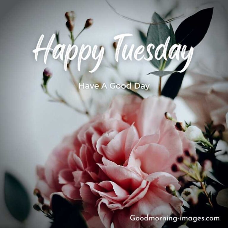 ᐅ100+ Happy Tuesday Images, Photos & Blessings Pictures