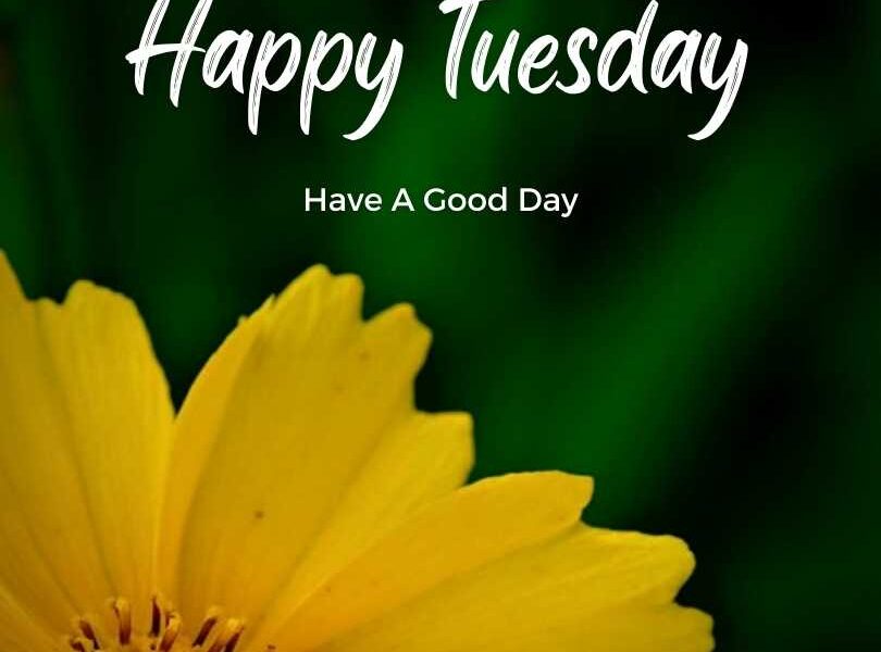 ᐅ100+ Happy Tuesday Images, Photos & Blessings Pictures