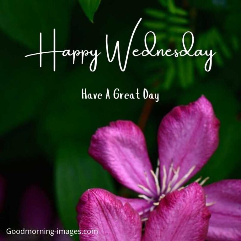 ᐅ100+ Happy Wednesday Images, Pictures & Photos