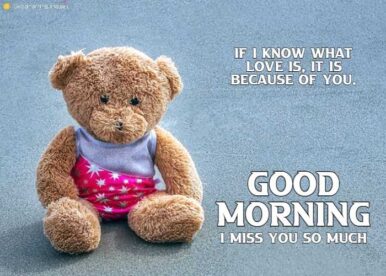ᐅ50+ Good Morning Teddy Bear HD Images & Pictures