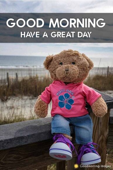 ᐅ50+ Good Morning Teddy Bear HD Images & Pictures