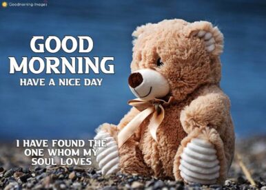 ᐅ50+ Good Morning Teddy Bear HD Images & Pictures