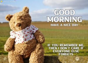 ᐅ50+ Good Morning Teddy Bear HD Images & Pictures