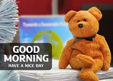 ᐅ50+ Good Morning Teddy Bear HD Images & Pictures
