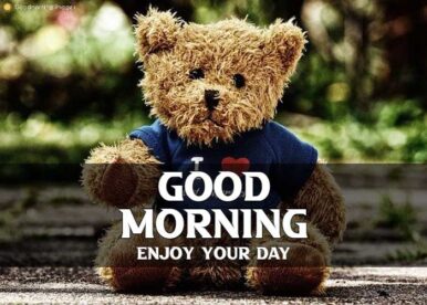 ᐅ100+ Teddy Bear Good Morning Images, Wishes, Pictures