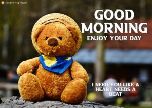 ᐅ100+ Teddy Bear Good Morning Images, Wishes, Pictures
