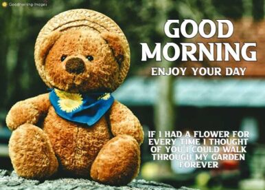 ᐅ100+ Teddy Bear Good Morning Images, Wishes, Pictures