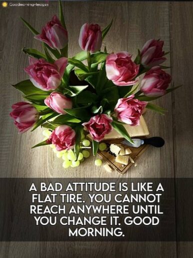 ᐅ100+ Good Morning Images with Quotes, Statuses & Wishes