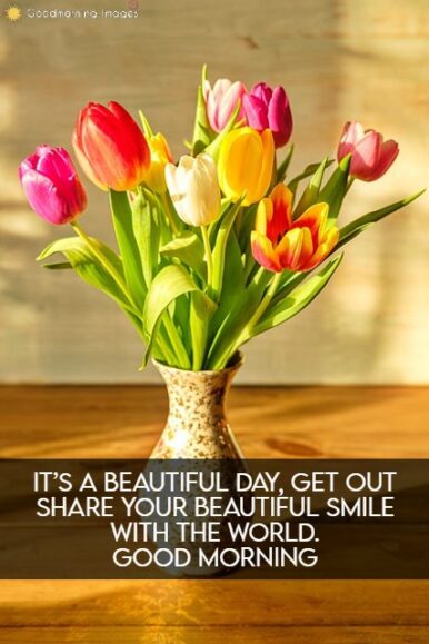 ᐅ100+ Good Morning Images with Quotes, Statuses & Wishes