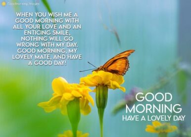 ᐅ50+ Heart-Touching Good Morning Messages For Friends