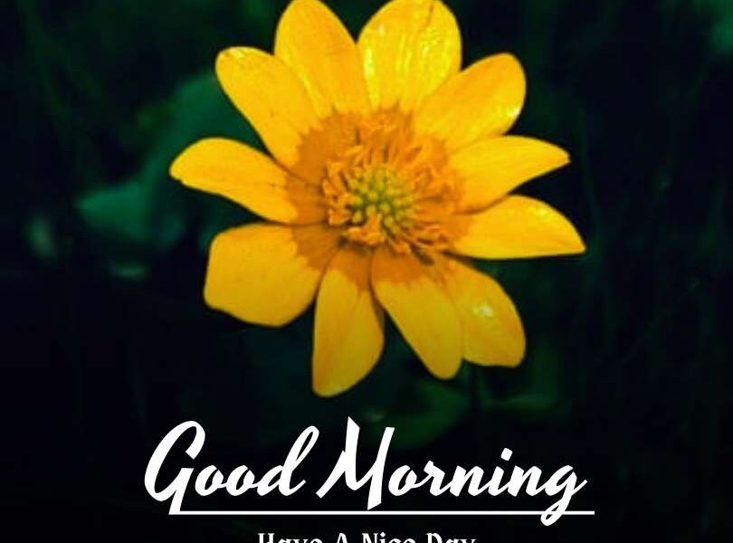 ᐅ150+ Lovely Good Morning Images, Photos & Pictures