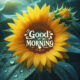ᐅ150+ Good Morning Images HD 1080p Download