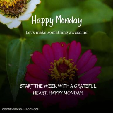 ᐅ100+ Happy Monday Good Morning Wishes & Messages