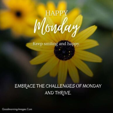 ᐅ100+ Happy Monday Good Morning Wishes & Messages