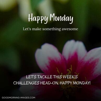 ᐅ100+ Happy Monday Good Morning Wishes & Messages