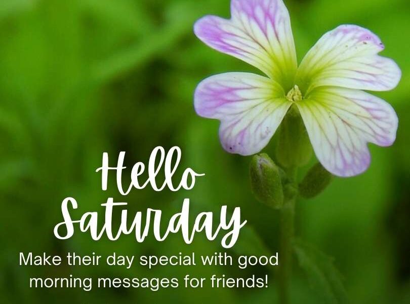 ᐅ100+ Happy Saturday Good Morning Wishes & Messages