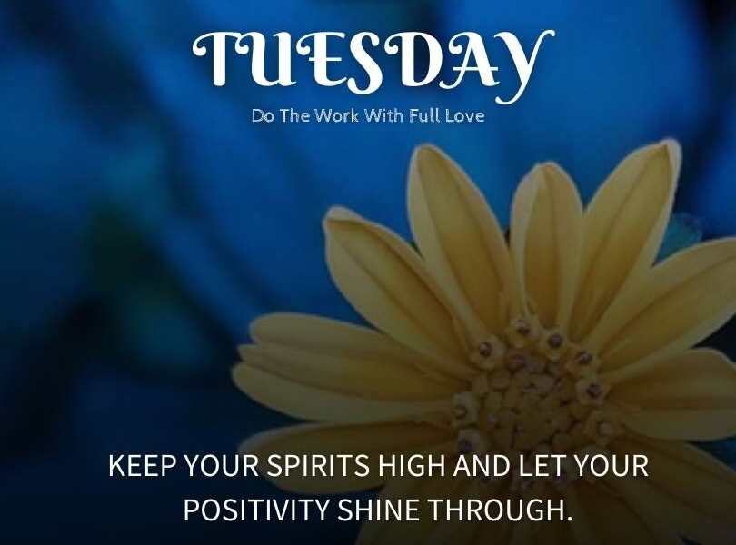 ᐅ100+ Happy Tuesday Good Morning Wishes & Messages