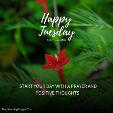 ᐅ100+ Happy Tuesday Good Morning Wishes & Messages